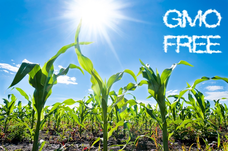 U Sarajevu promocija bh. certifikata “Bez GMO” : Radio Velkaton