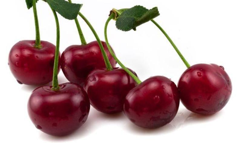 Kada je pravi momenat za branje višnje : Radio Velkaton