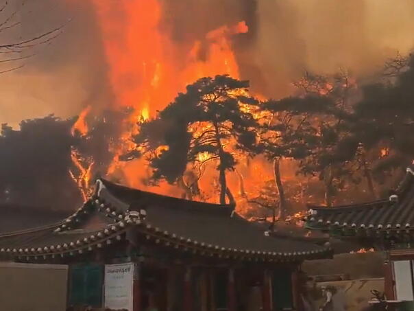 Veliki požari u Južnoj Koreji, proglašena nacionalna katastrofa : Radio ...